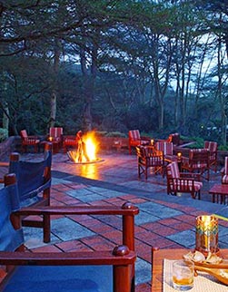 Rift Valley Bar | Best Bars in Lake Nakuru National Park | Sarova Lion Hill