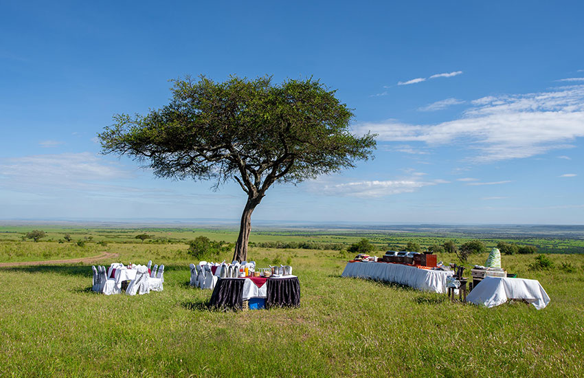 Gallery | Sarova Mara