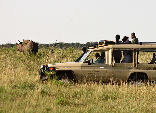 Experience Masai Mara | Africa Safari | Kenya Safari: Masai Mara