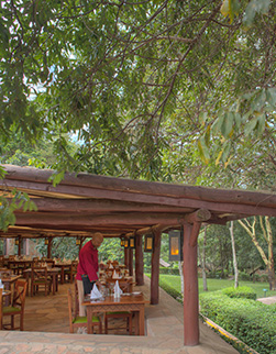 Isokon Restaurant | Best Restaurants in Masai Mara| Sarova Mara