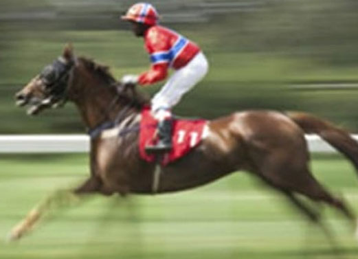 Experience Nairobi | Sarova Panafric Hotel Nairobi